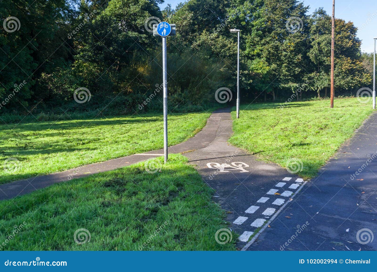 Cycle Path & Give Way Sign Stock Photo - Image of paint, cyclist: 102002994