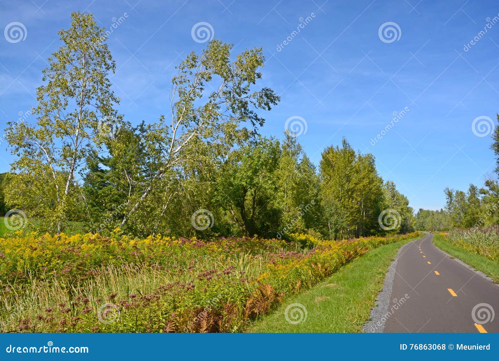 Cycle path stock photo. Image of adventure, mountain - 76863068