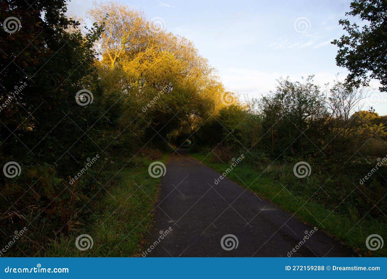 Cycle Path on an Old Railway Track in Devon Stock Photo - Image of ...