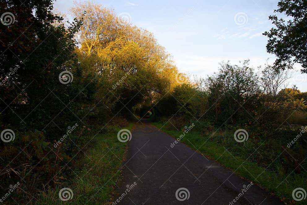 Cycle Path on an Old Railway Track in Devon Stock Photo - Image of railway, track: 272159288