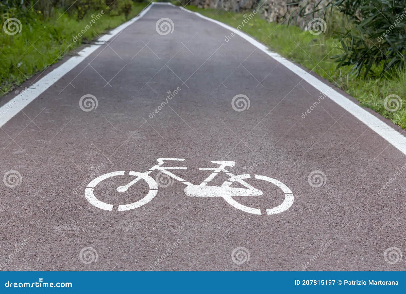 Cycle Path with Road Signs in the Woods Stock Image - Image of line ...