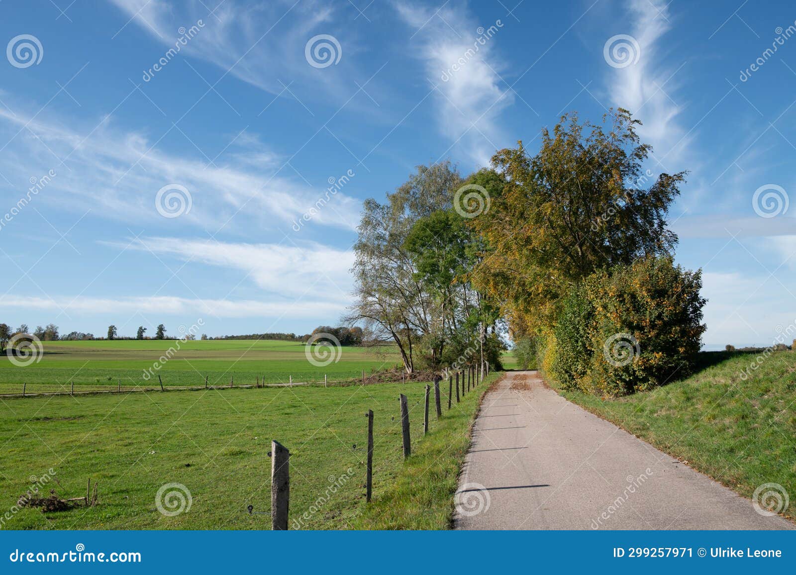 A Cycle Path Runs Past a Fenced Field. Several Trees are Brightly ...