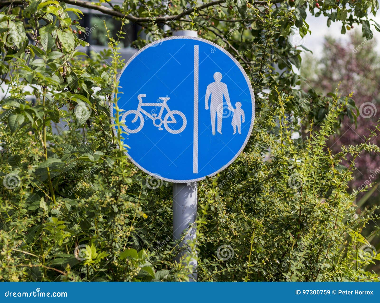 Cycle path Sign stock image. Image of cycle, green, bicycle - 97300759