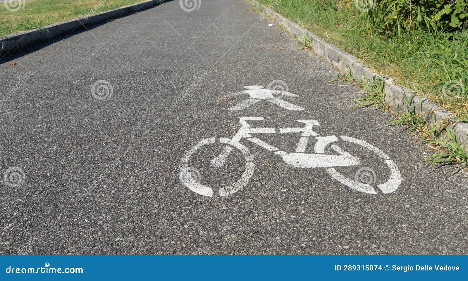 The cycle path stock photo. Image of urban, cycling - 289315074
