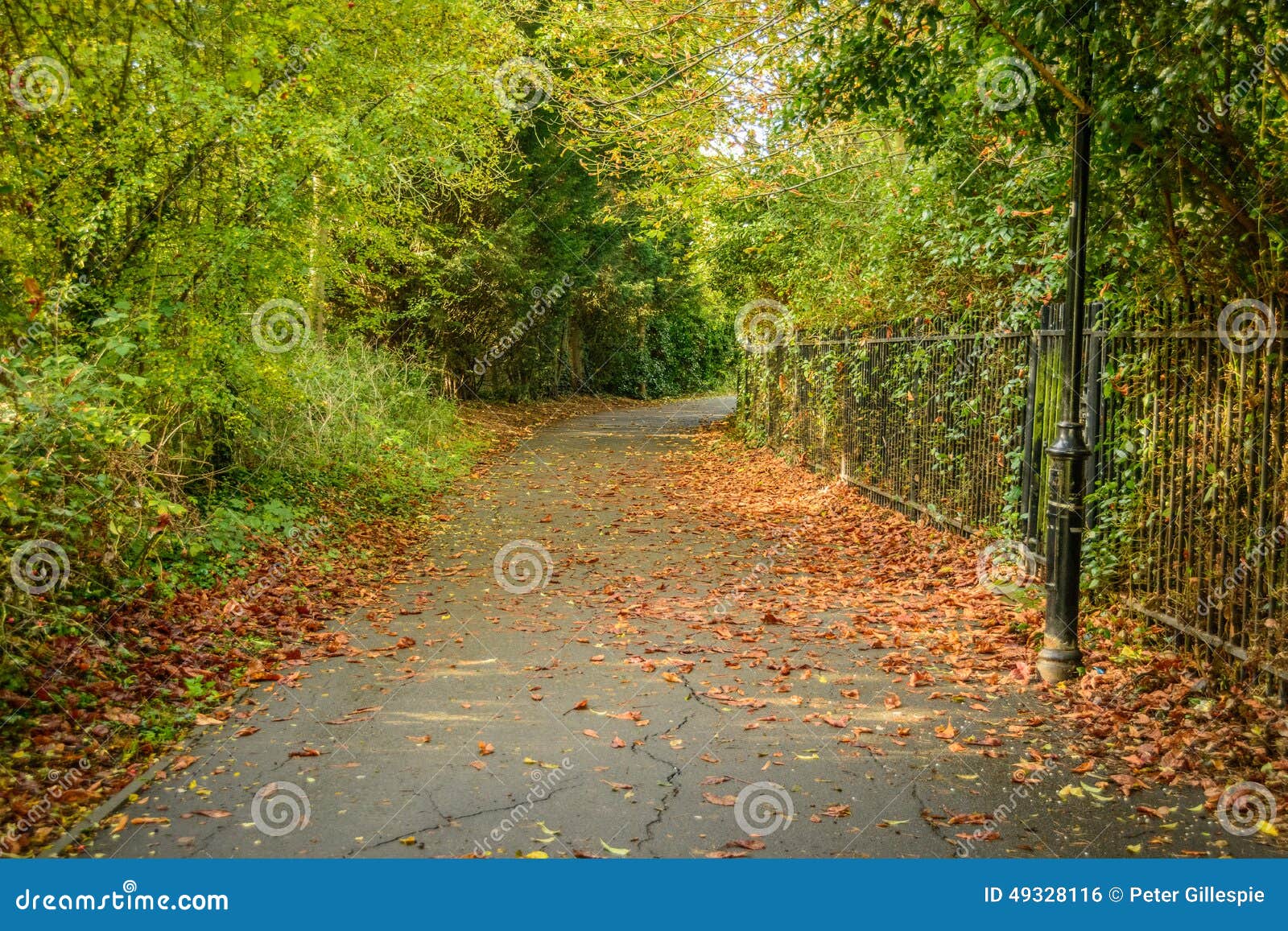 Cycle path through town stock photo. Image of path, jungle - 49328116