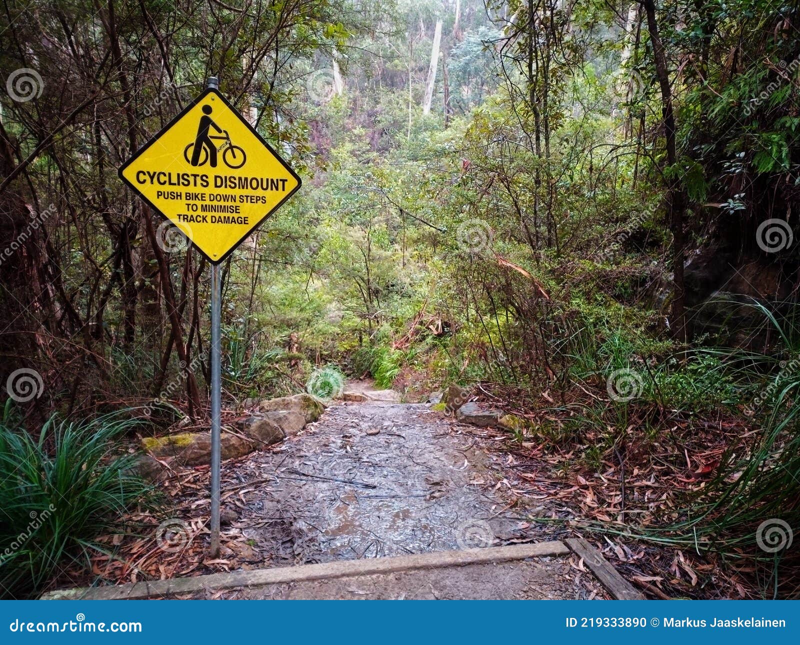 Cycle Path with a Warning Sign for Cyclists in an Australian Rainforest ...
