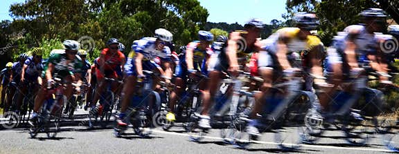 Cycle Race I stock photo. Image of tire, peloton, road - 846210