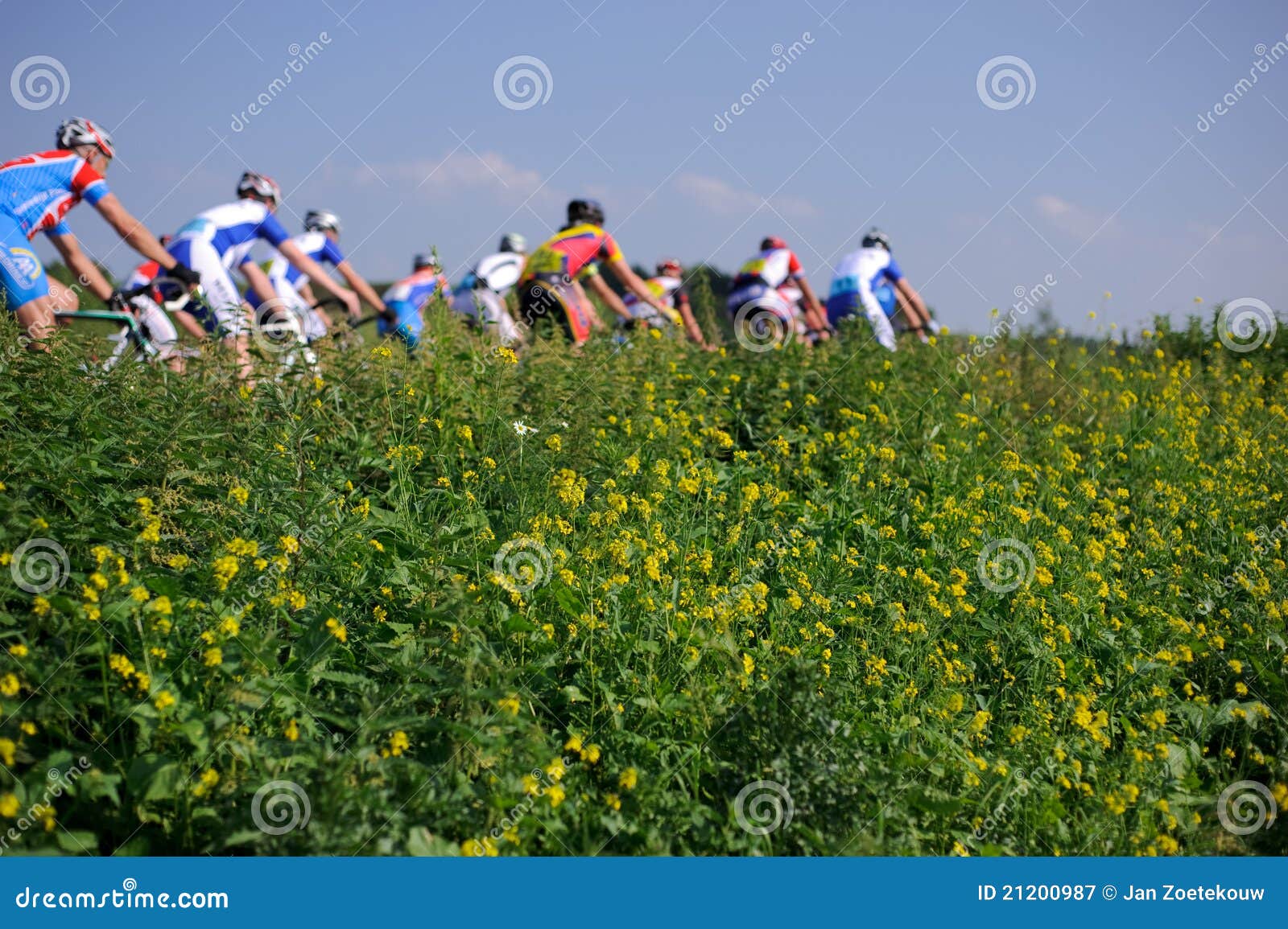 Cycle racers editorial photography. Image of flowers - 21200987