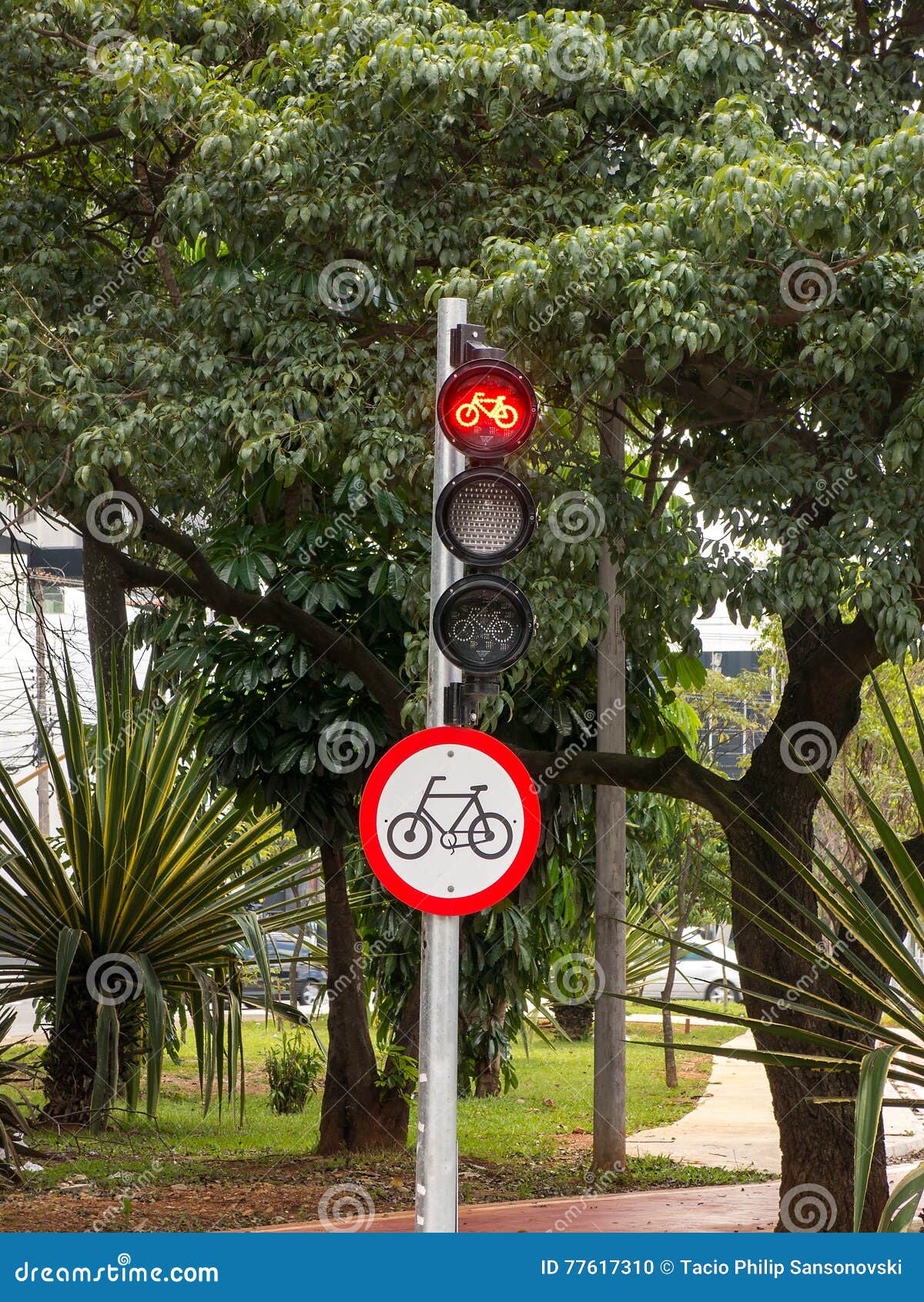 Cycle Route Red Traffic Light Stock Photo - Image of traffic, lights ...