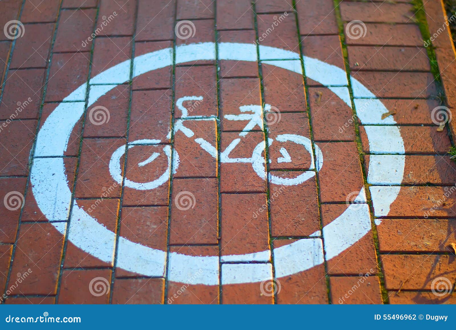 Cycle stock photo. Image of transportation, city, bicycle - 55496962