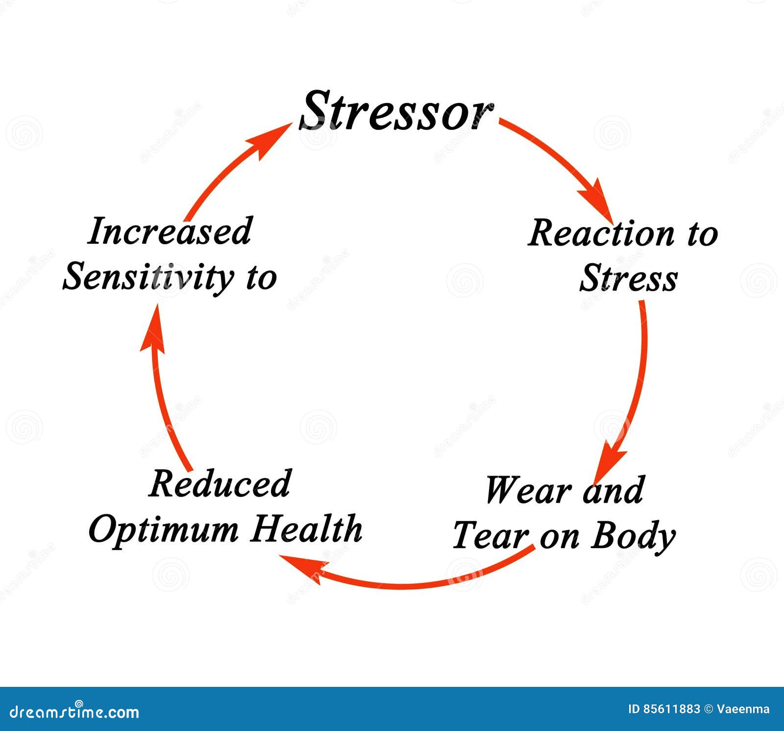 Cycle of stress stock illustration. Illustration of psychology - 85611883