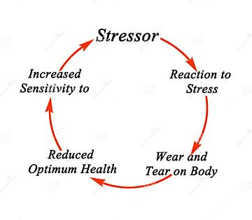Cycle of stress stock illustration. Illustration of psychology - 85611883