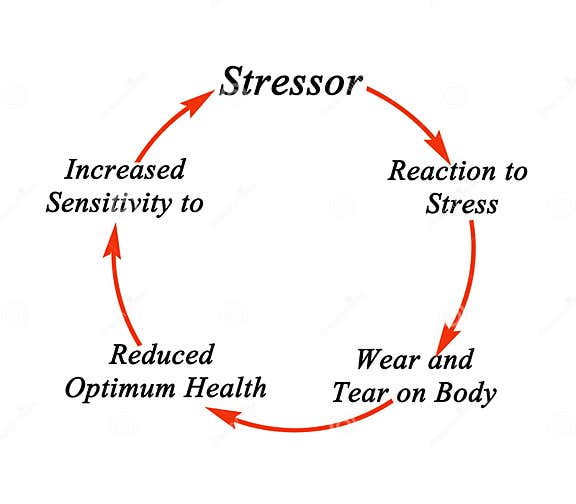 Cycle of stress stock illustration. Illustration of psychology - 85611883