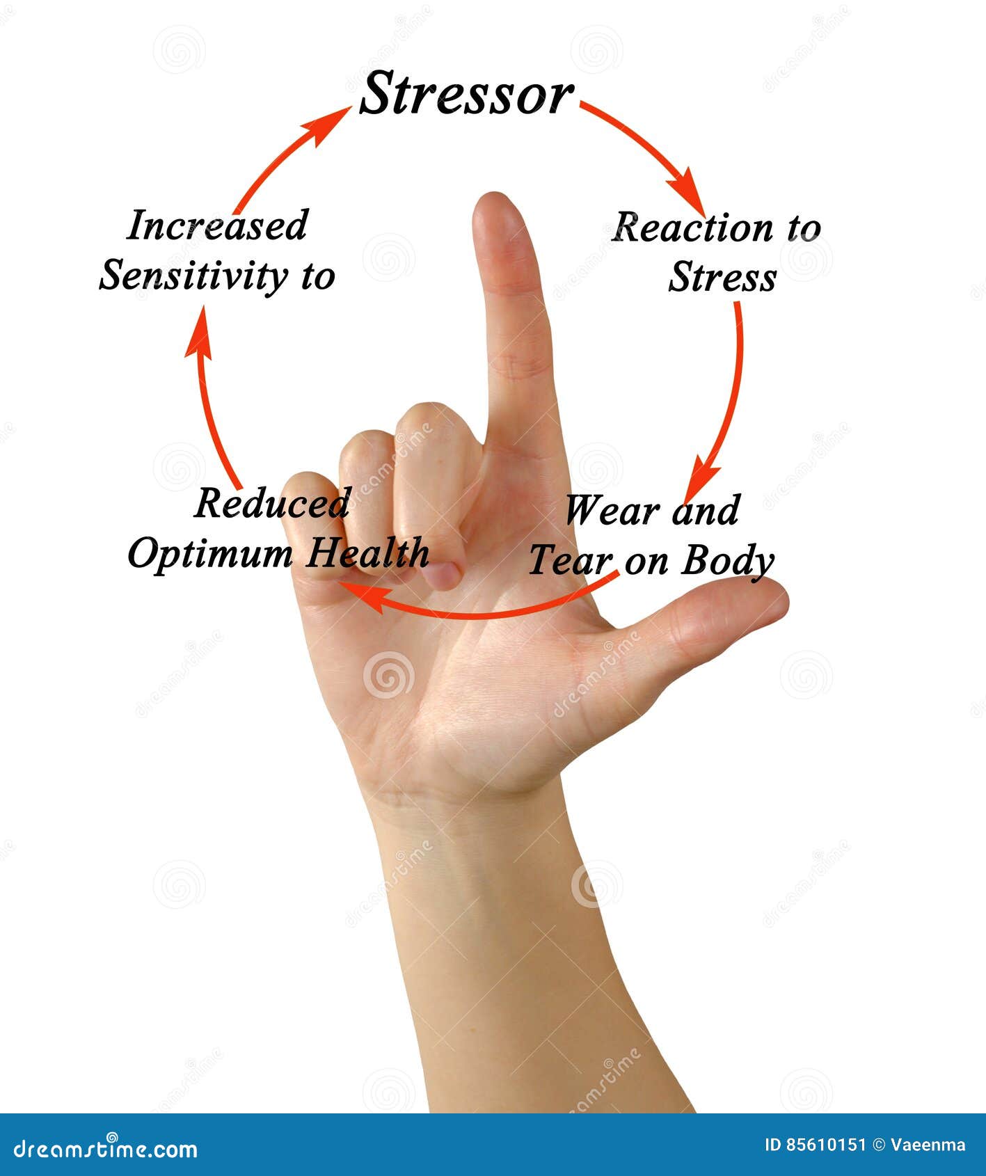 Cycle of stress stock image. Image of cycle, psychology - 85610151
