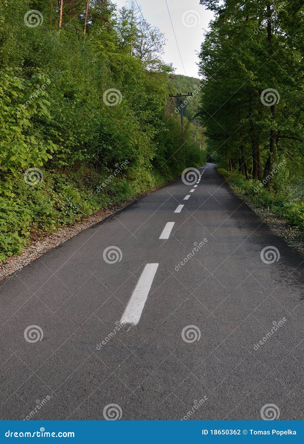 Cycle track stock photo. Image of bicycle, sport, route - 18650362