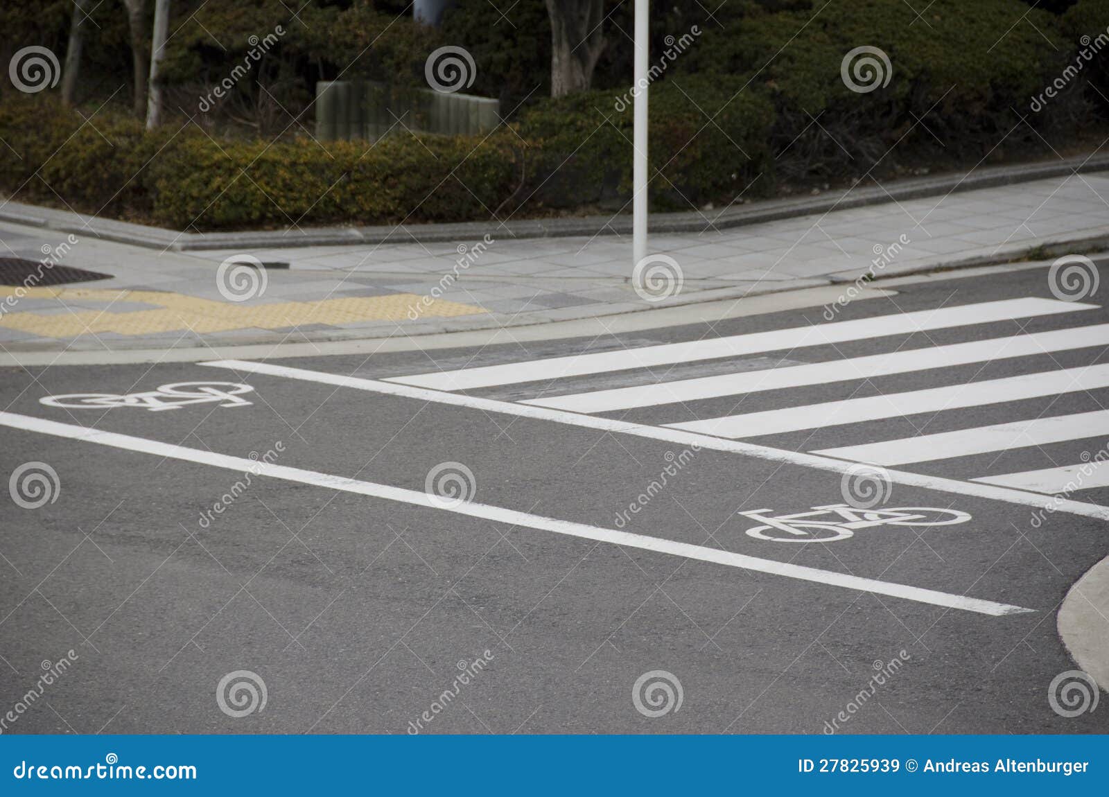 Cycle Track Markings in a City Stock Image - Image of activities ...