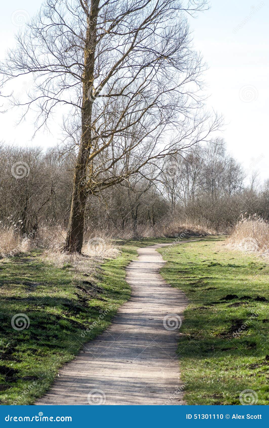 Cycle Track through Nature Reserve Stock Photo - Image of cycle, right ...