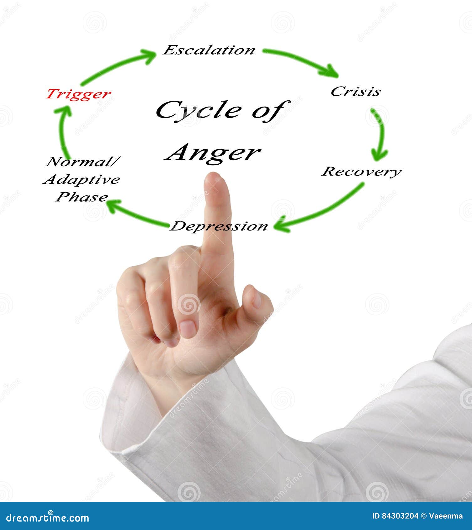 [DIAGRAM] Cycle Of Anger Diagram - WIRINGSCHEMA.COM