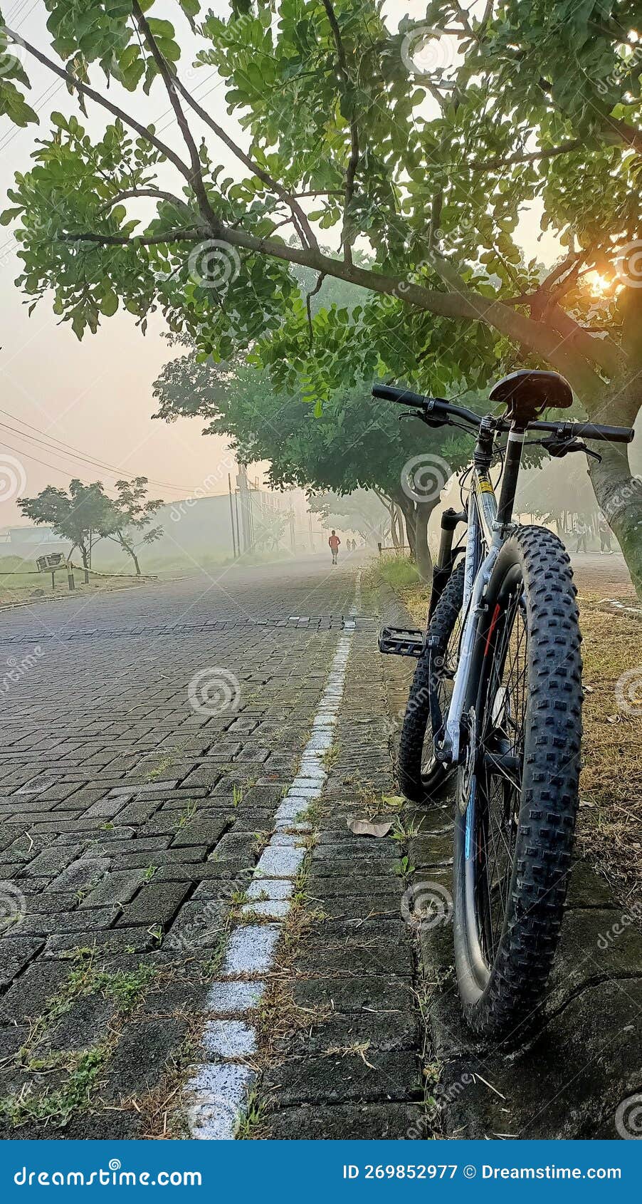 Cycling Activity in the Morning Which is Healthy Stock Image - Image of ...