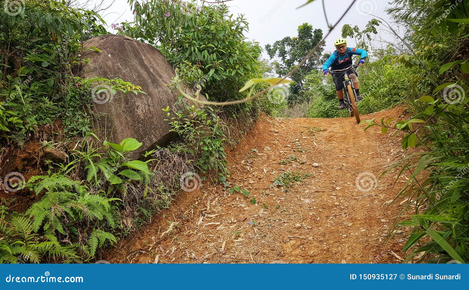 Cycling Along the Single Track Editorial Photography - Image of cycling ...