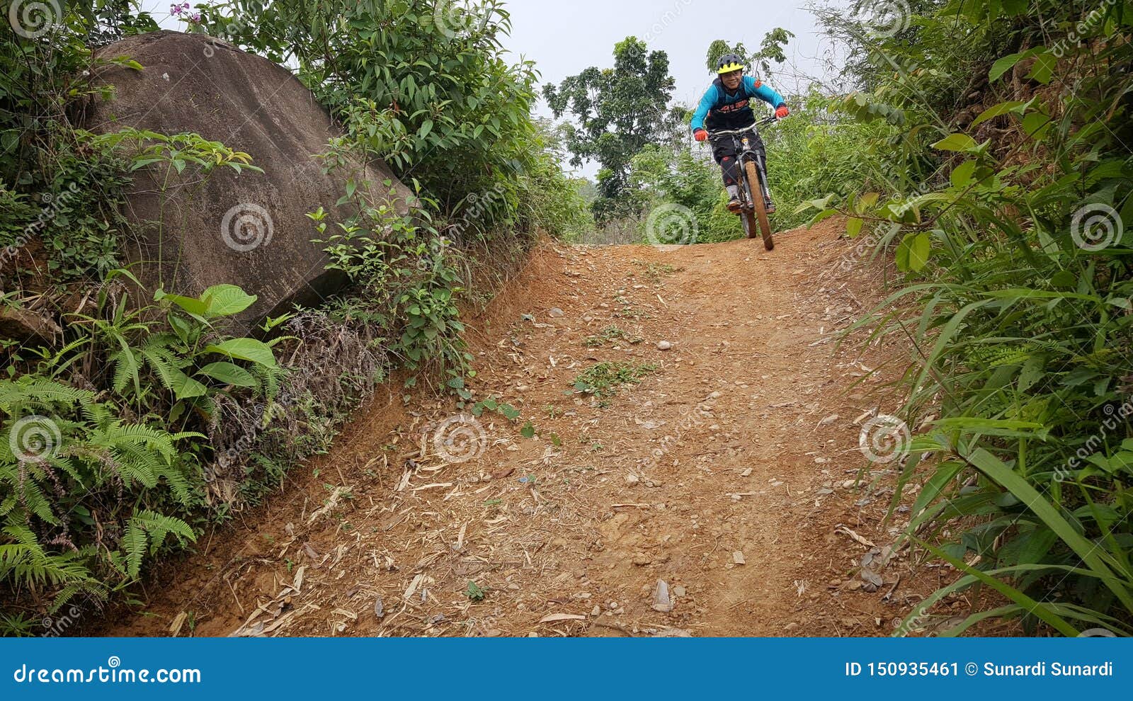 Cycling Along the Single Track Editorial Photo - Image of cycling ...
