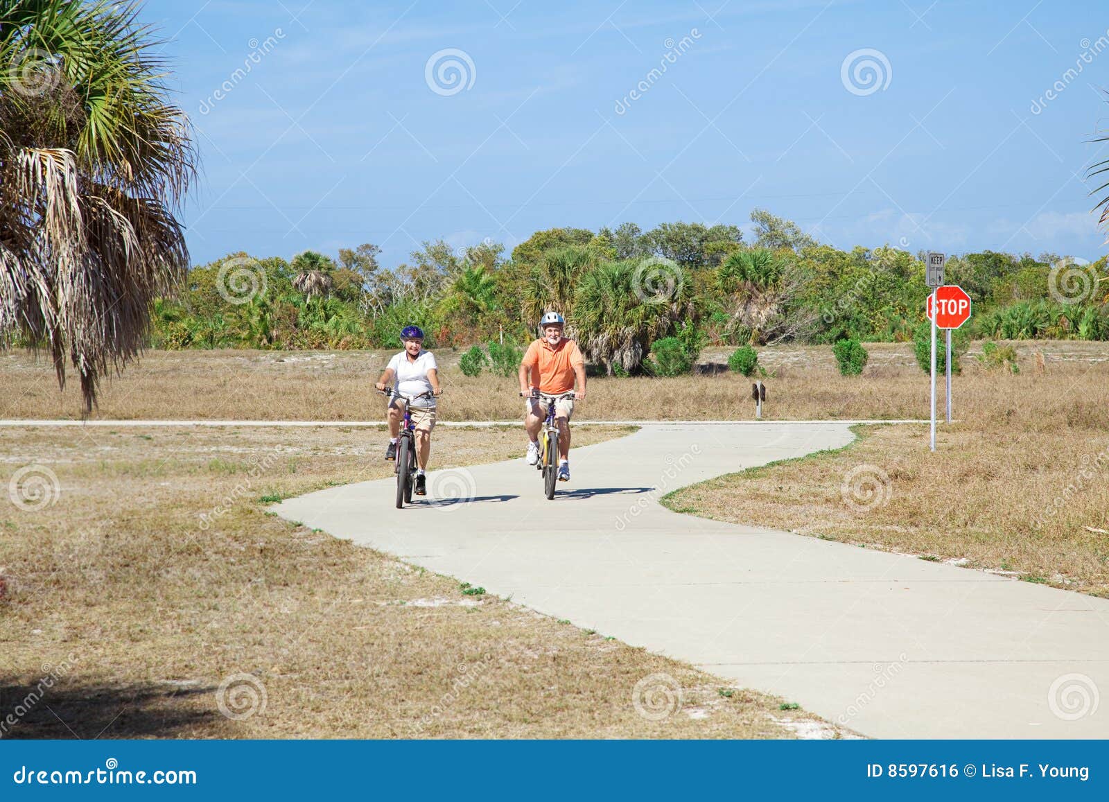 Cycling in the Park stock photo. Image of florida, recreation - 8597616