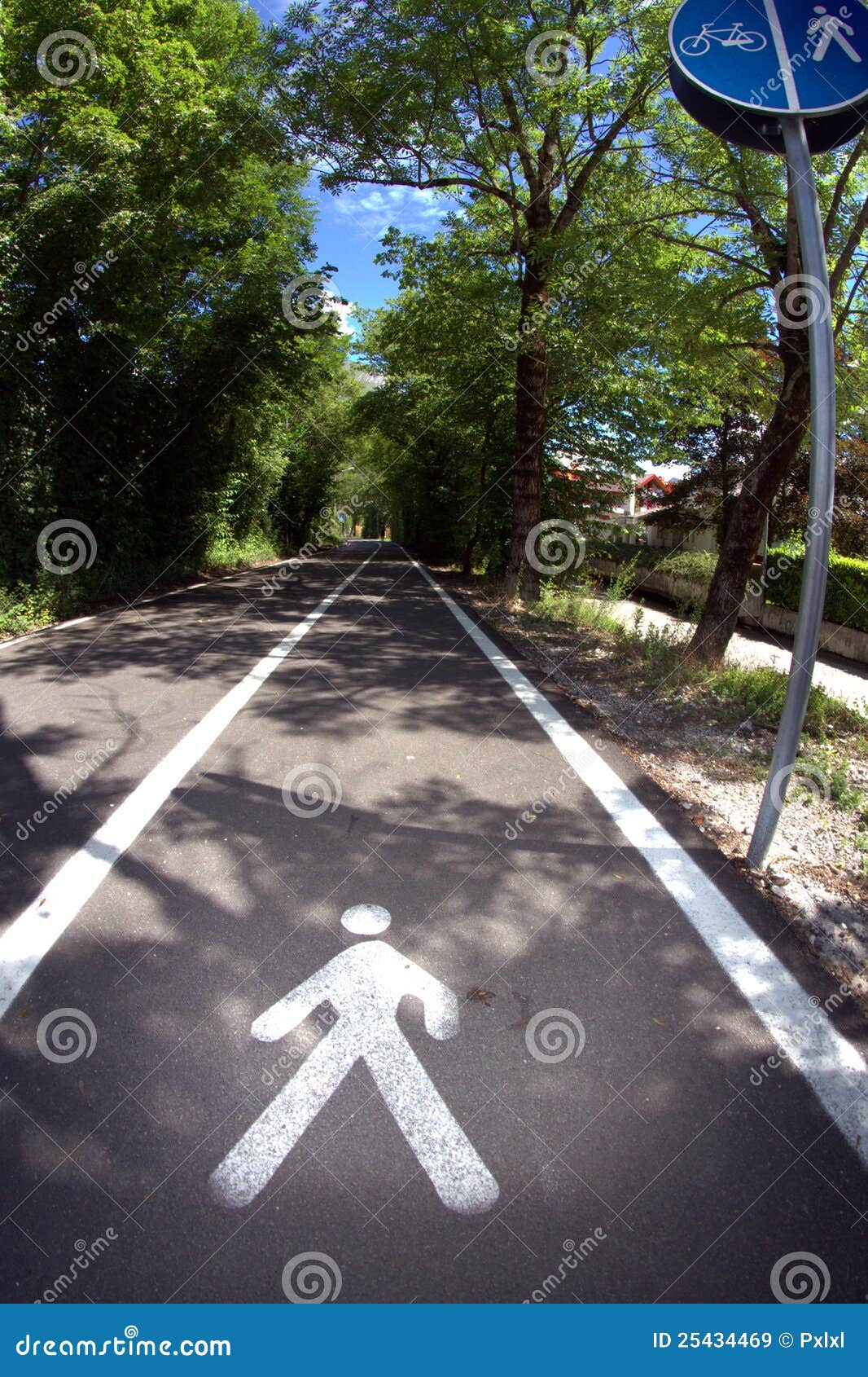 Cycling Path and Promenade Signs on the Woods Path Stock Image - Image ...