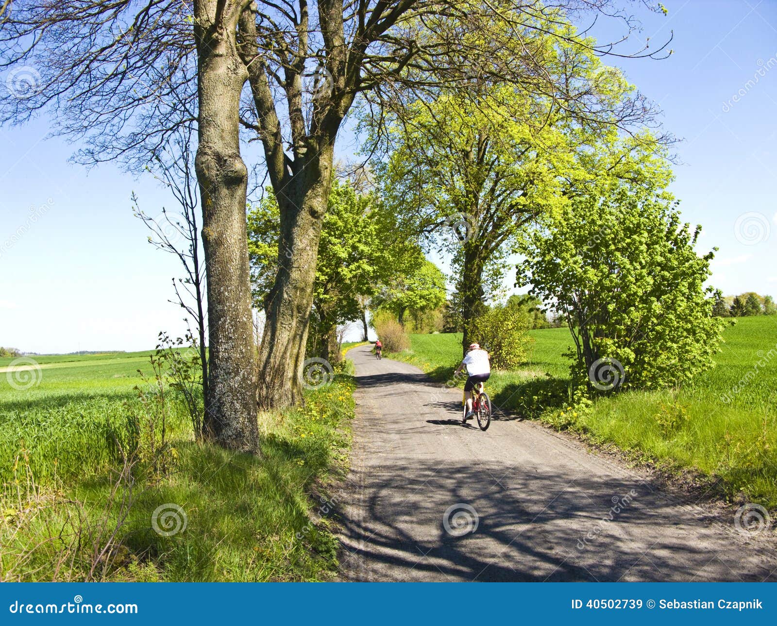 Cycling in Spring Rural Dirt Path Stock Image - Image of cyclists ... Cycling in Spring Rural Dirt Path Stock Image - Image of cyclists ...