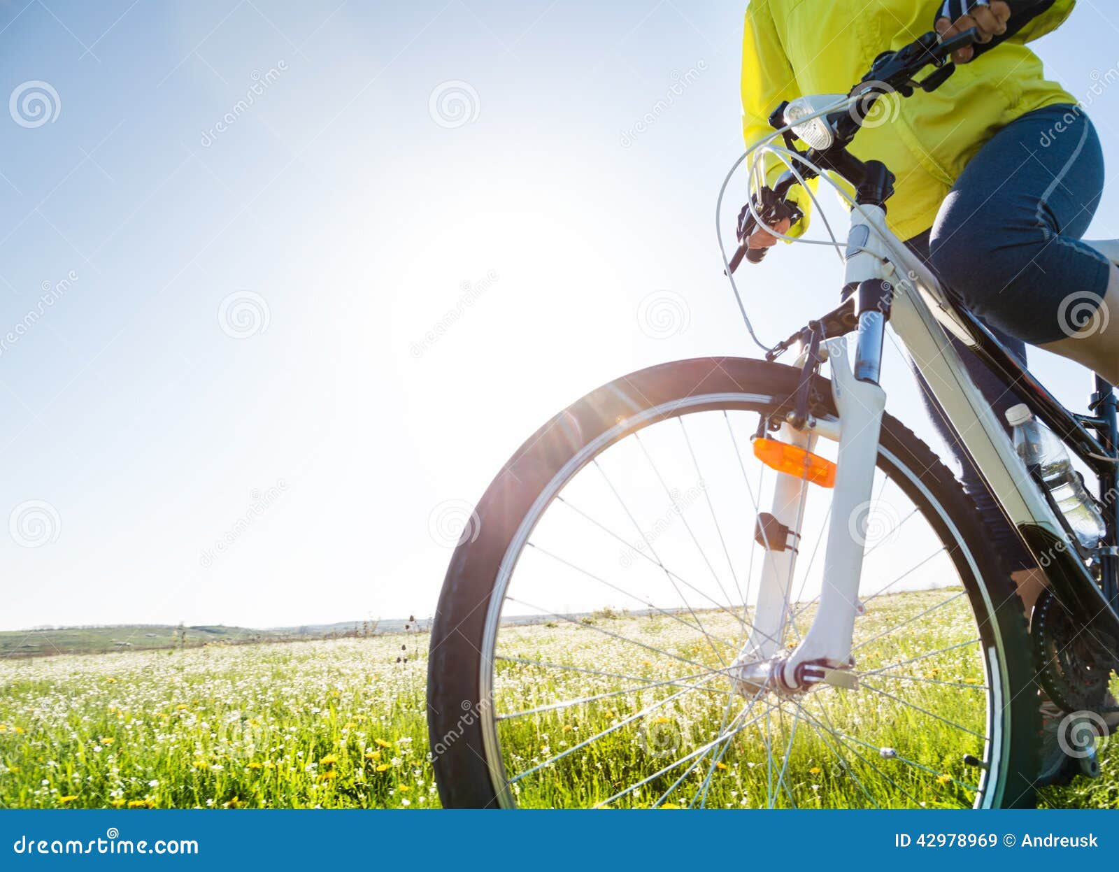 Cycling at summer stock image. Image of bicycle, adventure - 42978969