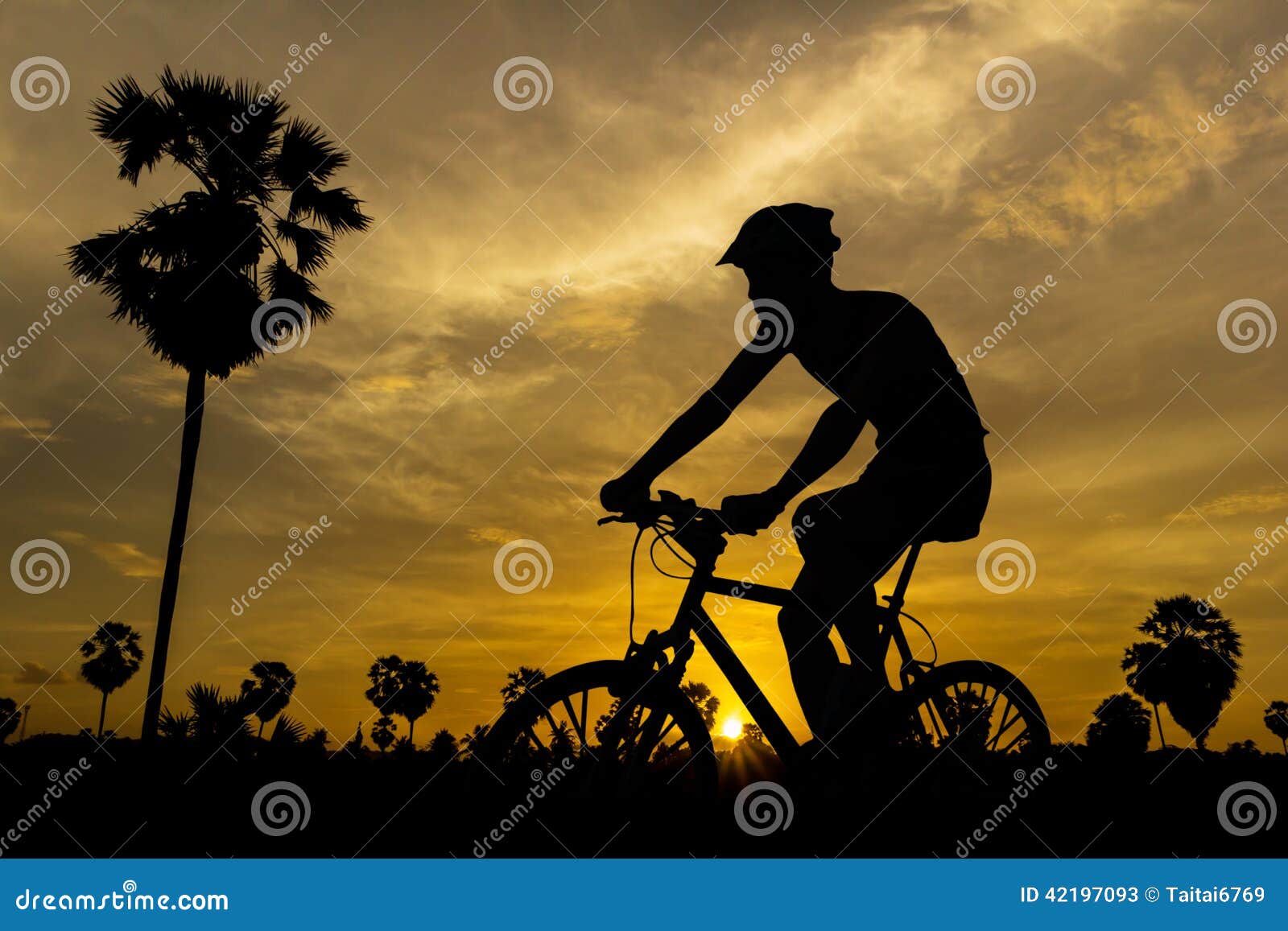 Cycling on sunset stock image. Image of night, cyclist - 42197093