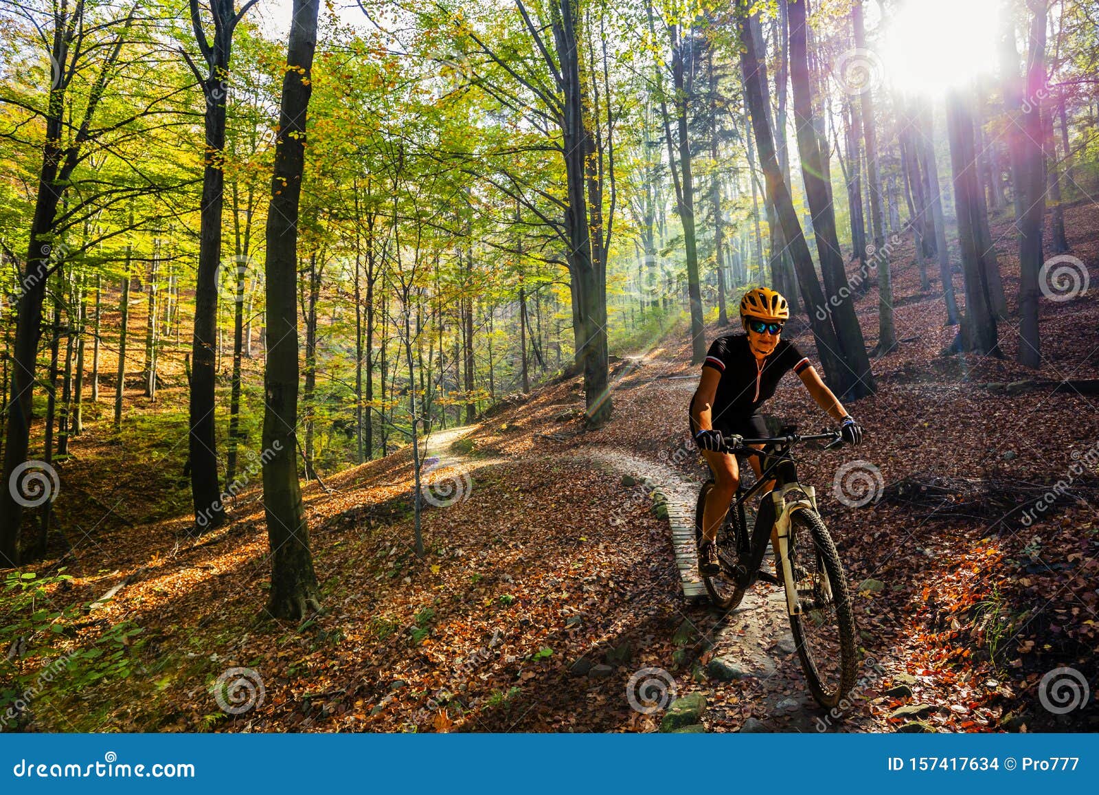 Cycling Woman Riding on Bike in Autumn Forest Landscape. Woman Cycling ... Cycling Woman Riding on Bike in Autumn Forest Landscape. Woman Cycling ...