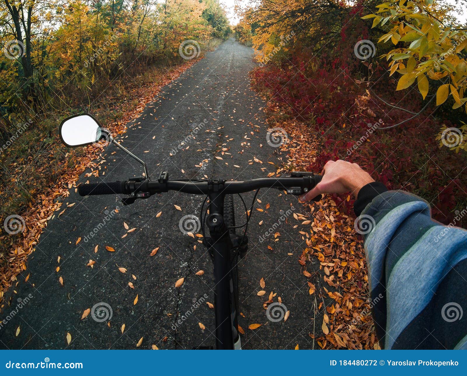 Cyclist on a Bicycle First-person View on a Forest Path Stock Photo ...