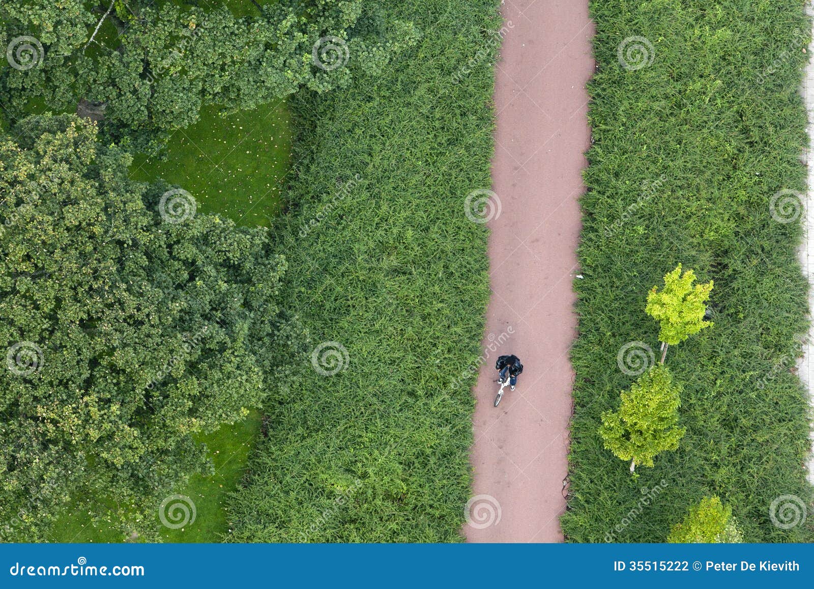Cyclist on a bicycle path stock photo. Image of bicycle - 35515222