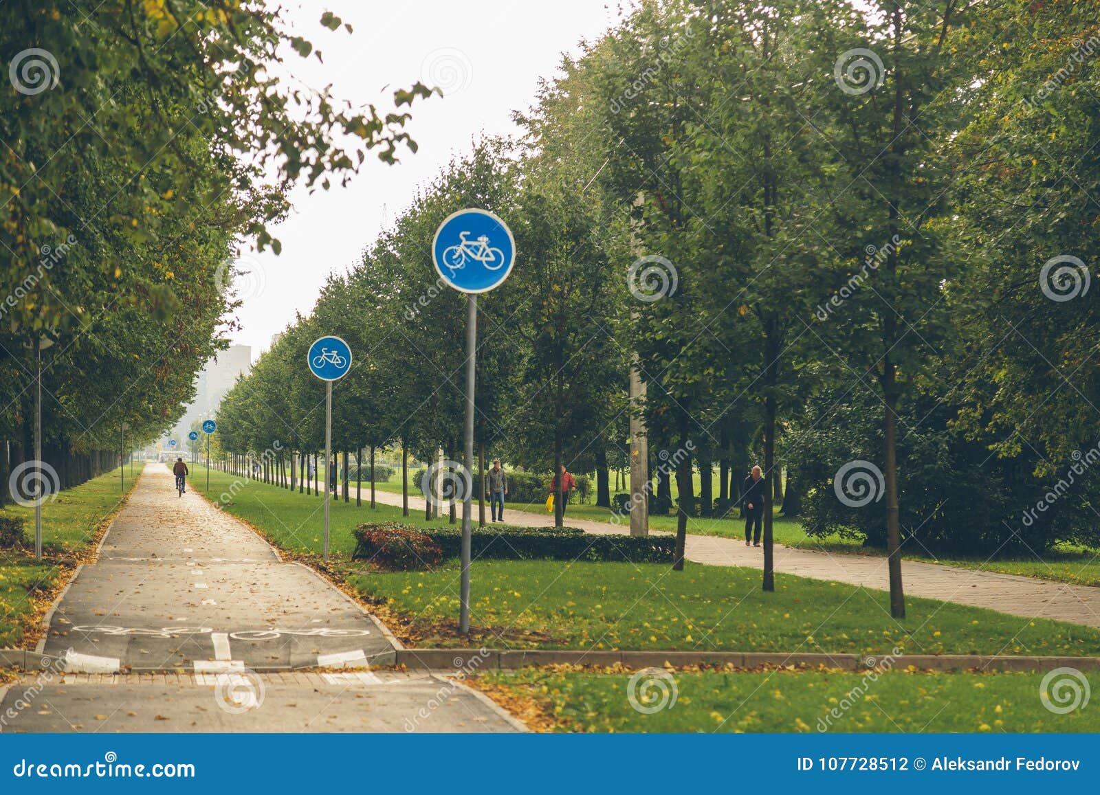 Cyclist on a bicycle path stock photo. Image of line - 107728512