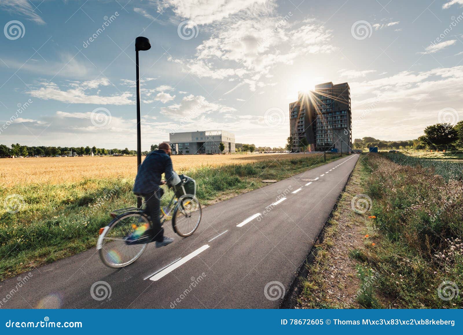Cyclist on a Bicycle Path in Odense, Denmark Editorial Image - Image of ...