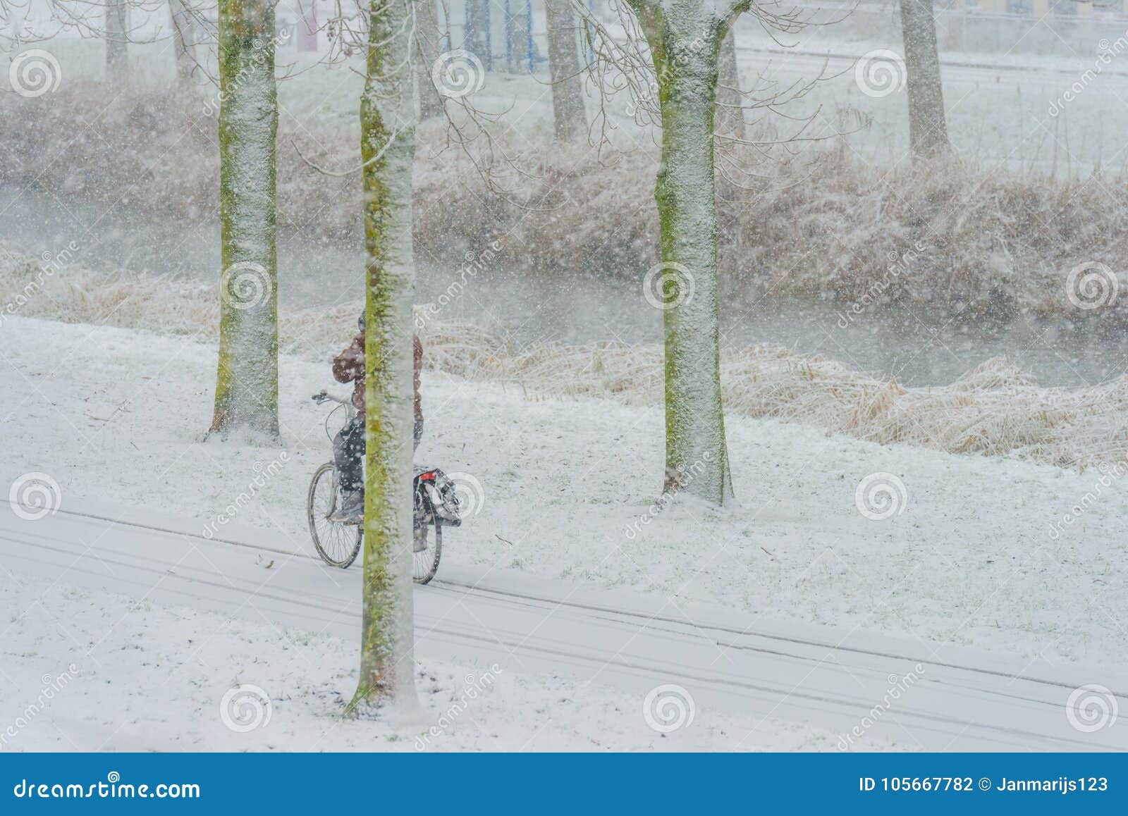 Cyclist Biking in the Snow in Winter Stock Photo - Image of winter ...