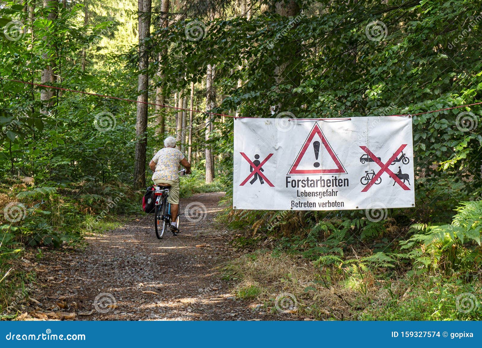 Information Sign for Forestry Work Editorial Stock Image - Image of ...