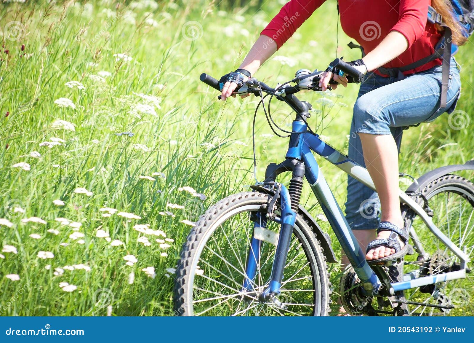 Cyclist on grass stock photo. Image of active, bike, portrait - 20543192