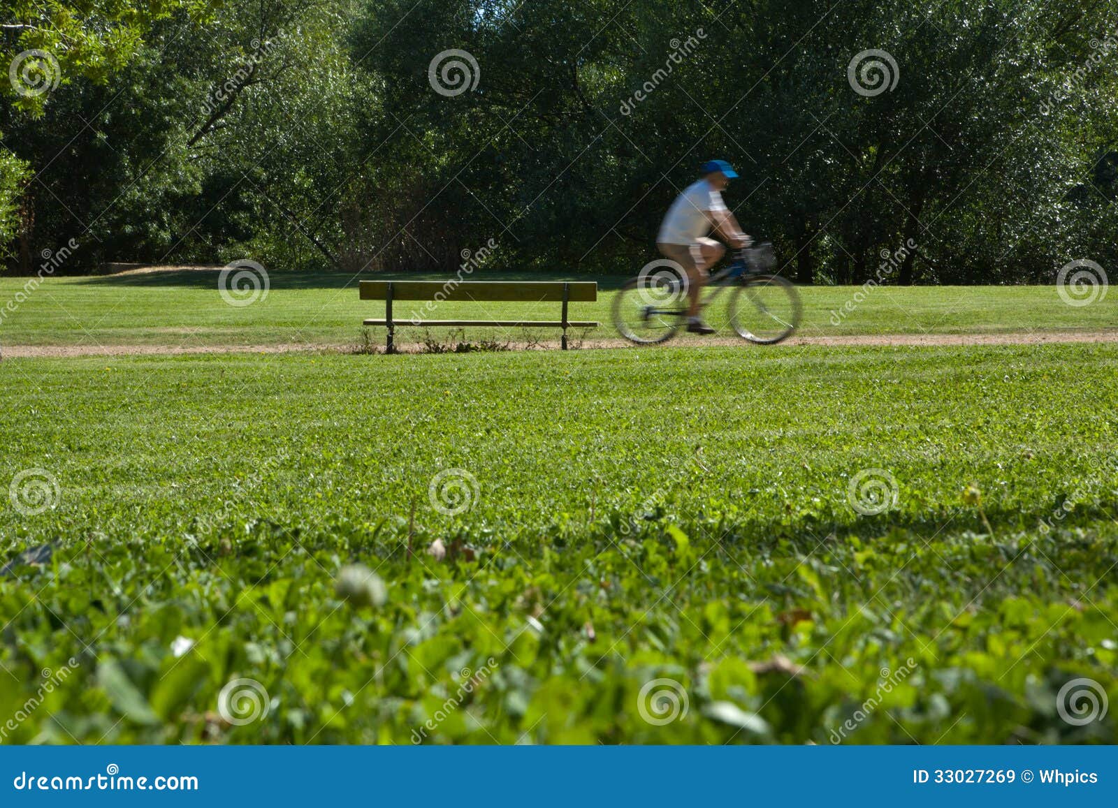 Cyclist in a park stock image. Image of hobby, amateur - 33027269