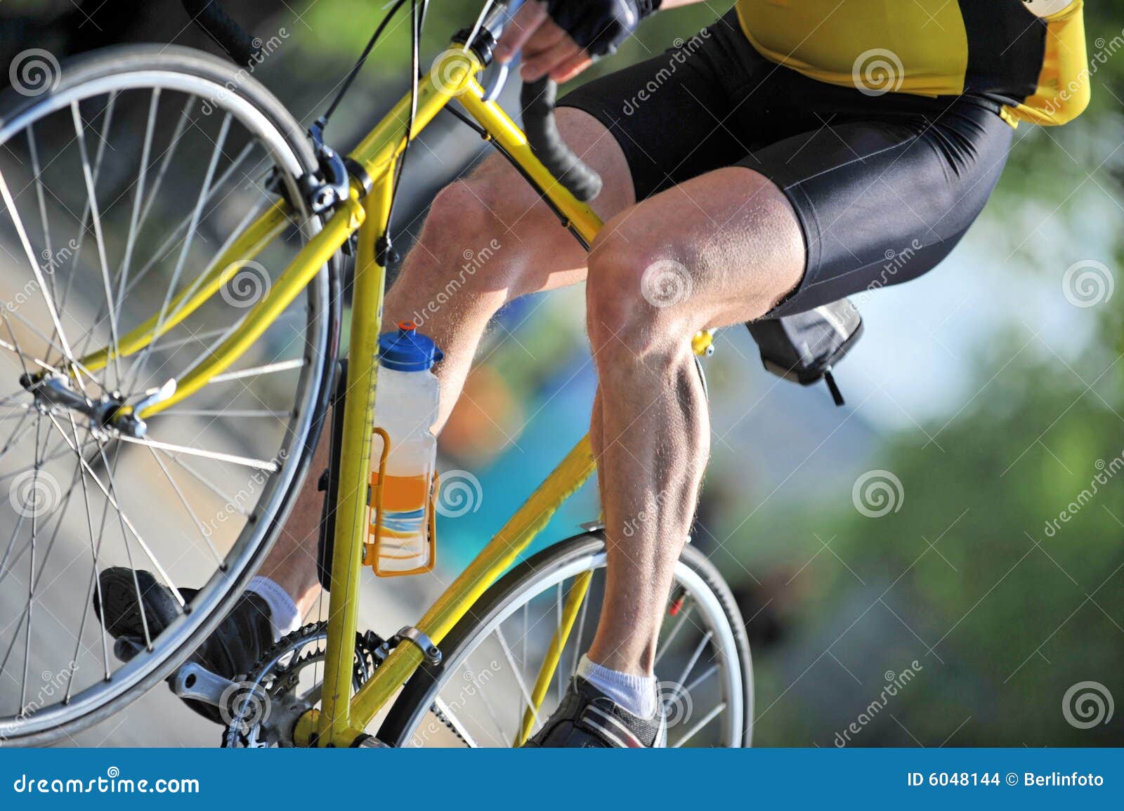 Cyclist pedalling bicycle stock photo. Image of exercising - 6048144