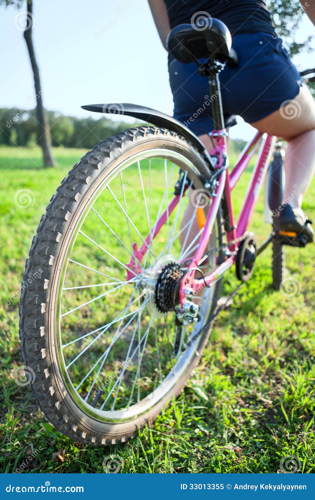 Cyclist Riding on Bicycle. Rear Wide Angle View Stock Image - Image of ...