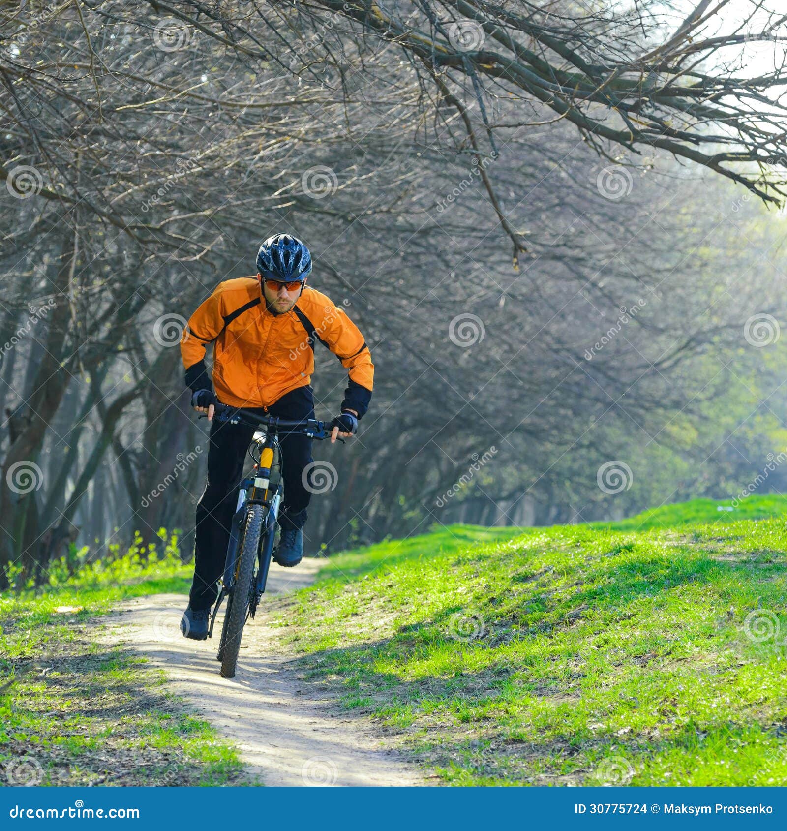 Cyclist Riding the Bike on the Trail in the Forest Stock Photo - Image ...