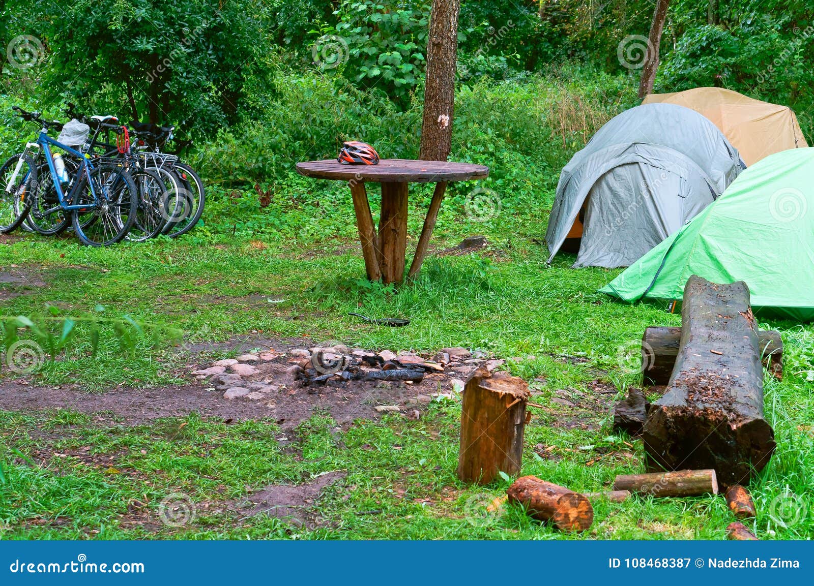 Camping In Campground Area At Night With Star On The Sky In National ...