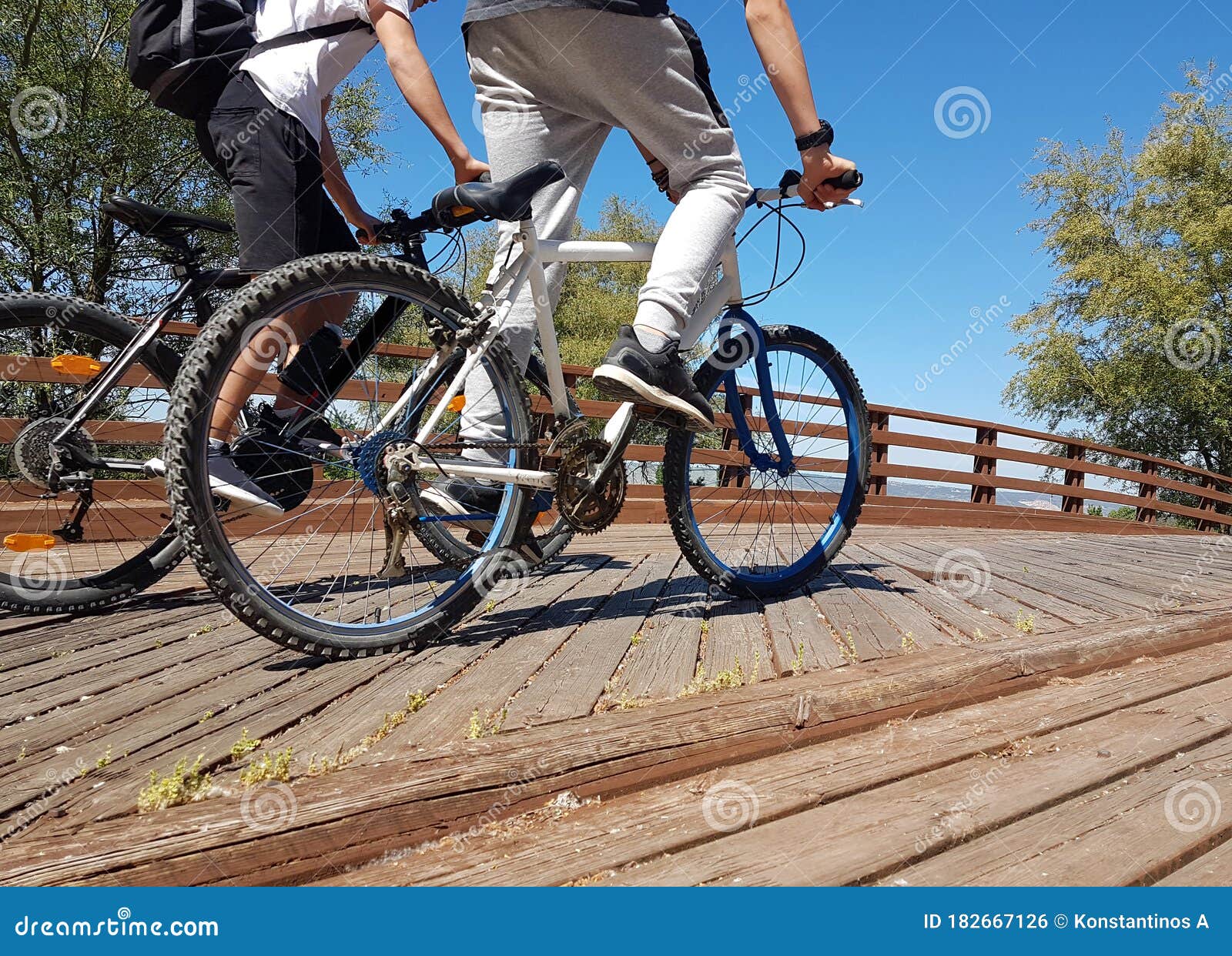Cyclists Cycling in the Nature by the Trees in Spring Stock Photo ...