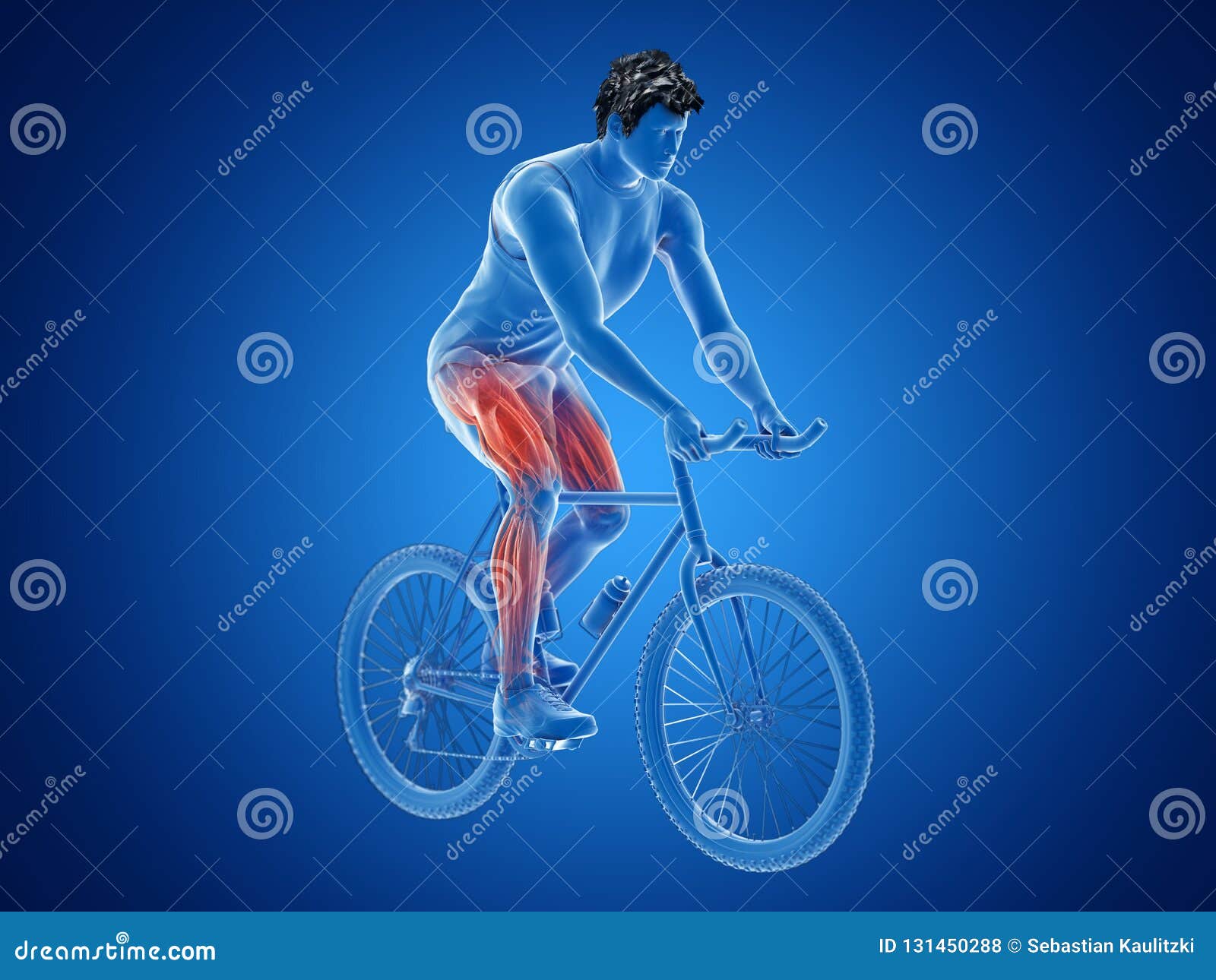A cyclists muscles stock illustration. Illustration of biker - 131450288