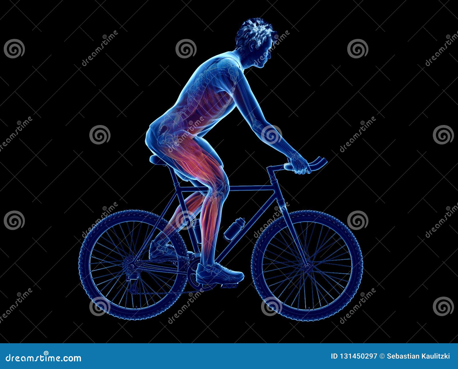 A cyclists muscles stock illustration. Illustration of biking - 131450297