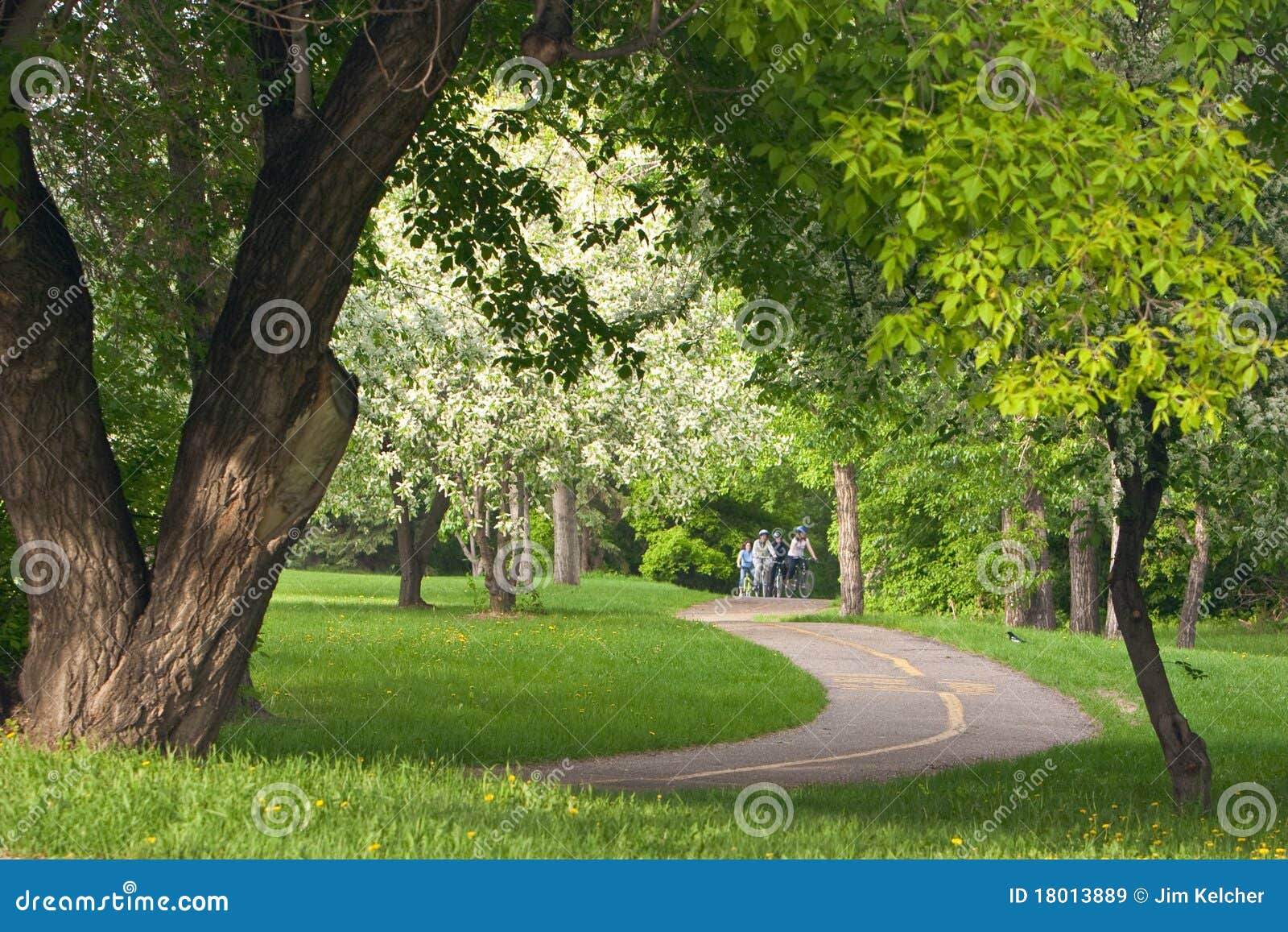 Cyclists on Pathway editorial stock image. Image of recreation - 18013889