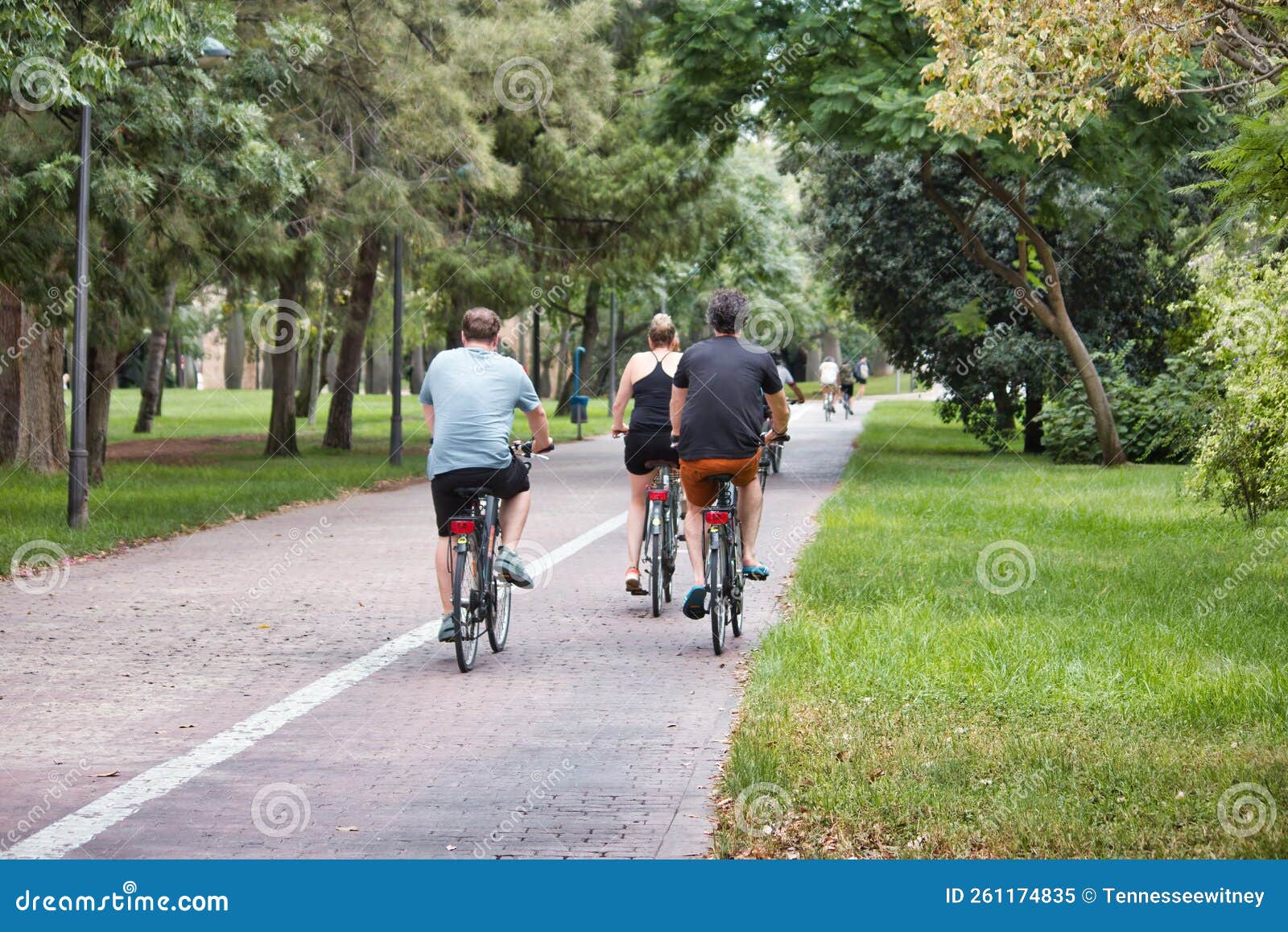 Cyclists Riding on Bikes Cycling on a Cycle Path in a Park in Summer ...