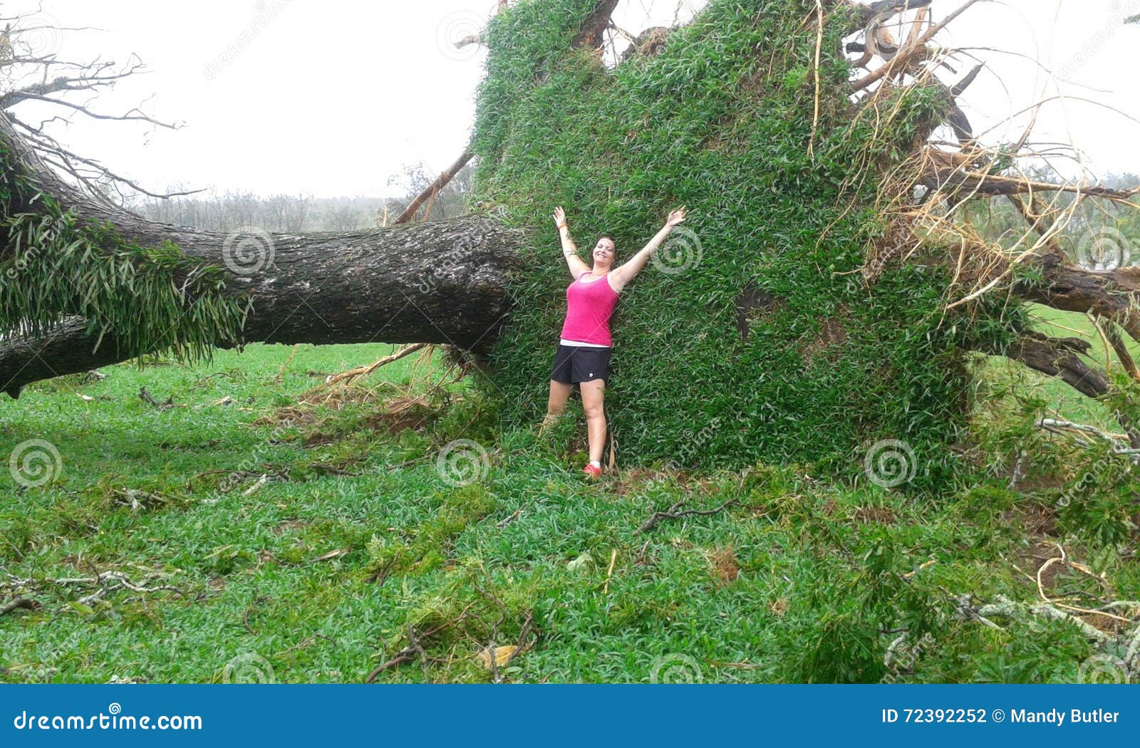 Cyclone damage editorial photography. Image of tree, cyclone - 72392252
