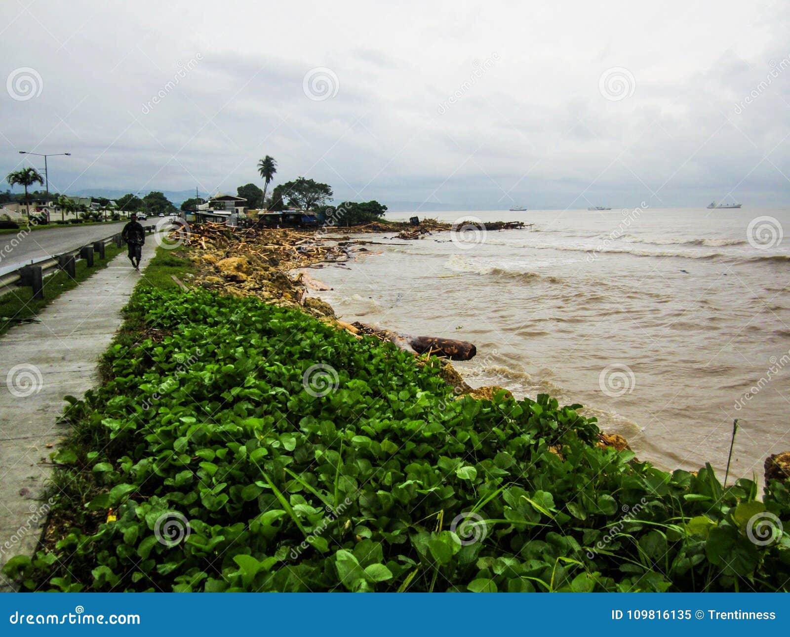 Cyclone Et Inondation De Solomon Islands Image éditorial - Image du ...